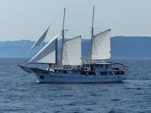 MENDULA - Yacht Design